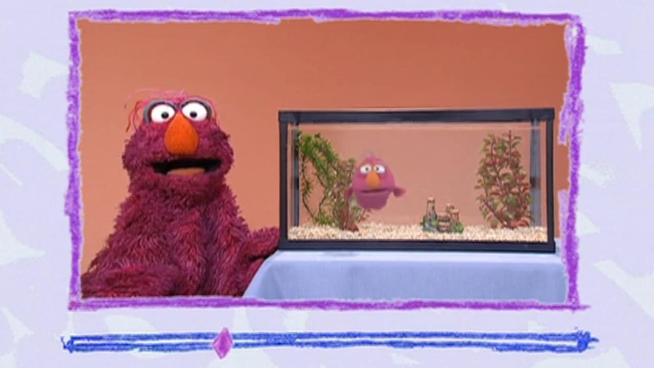 Watch Elmo's World Fish