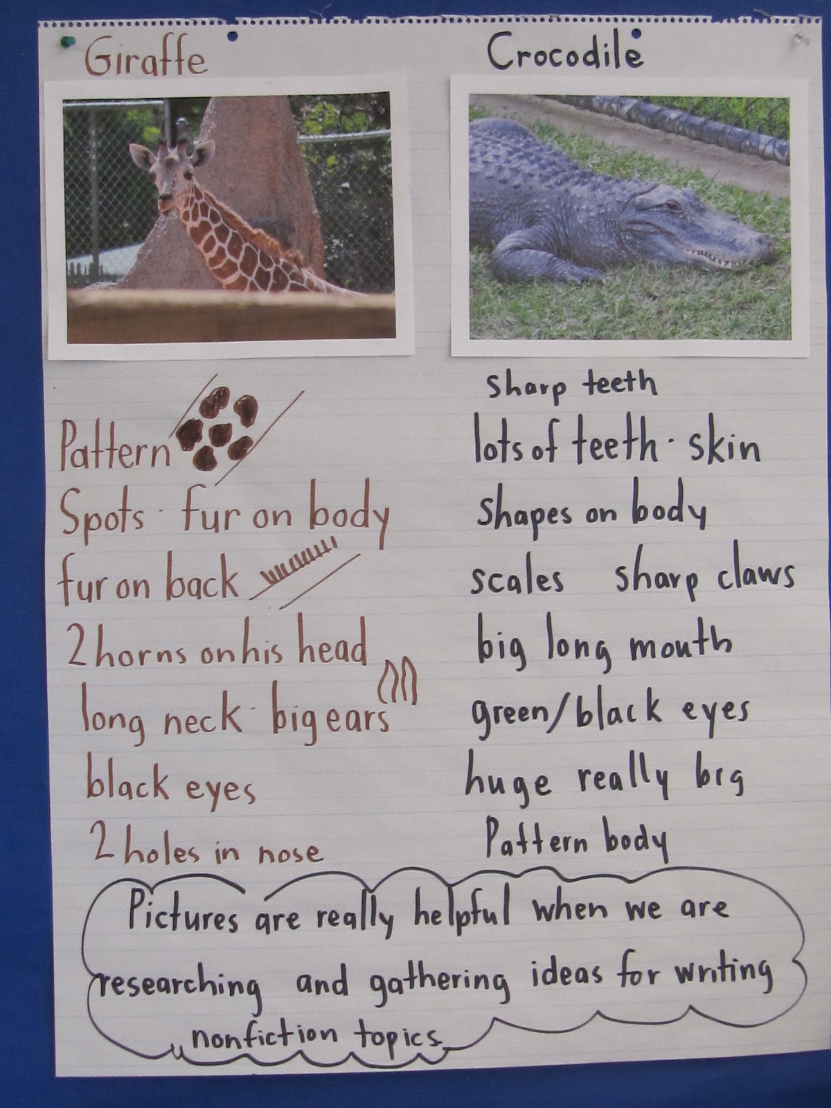 Joyful Learning In KC: Nonfiction Writing in KC