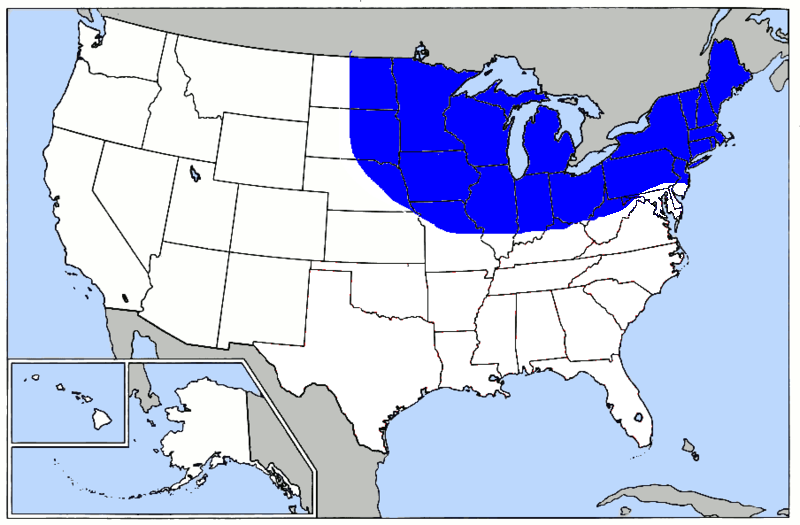 Estados Unidos: Aspectos naturais, físicos e econômicos - Livrendo com ...