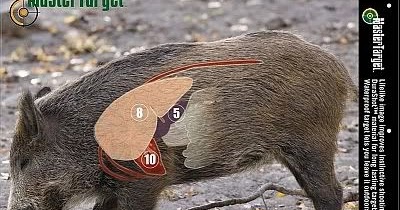 A Dixie Lady Deer Hunter: Shot Placement: Hog