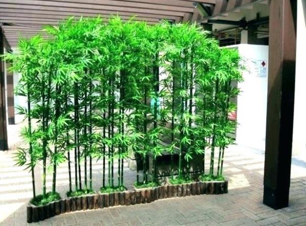 29+ Ide Terpopuler Hiasan Rumah Dari Ranting Bambu