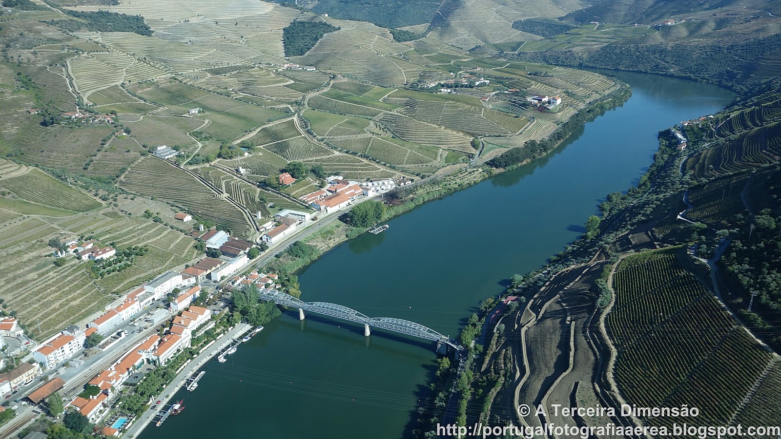 A Terceira Dimensão: Pinhão