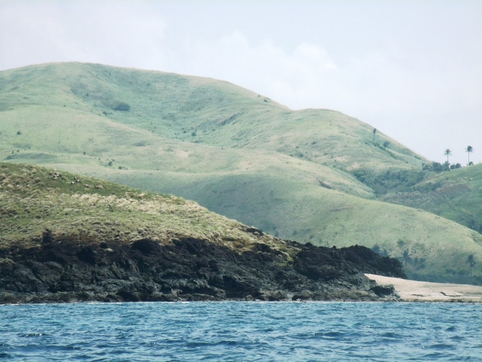 Our WANDERful JouRnEy!: Discovering Calaguas Island