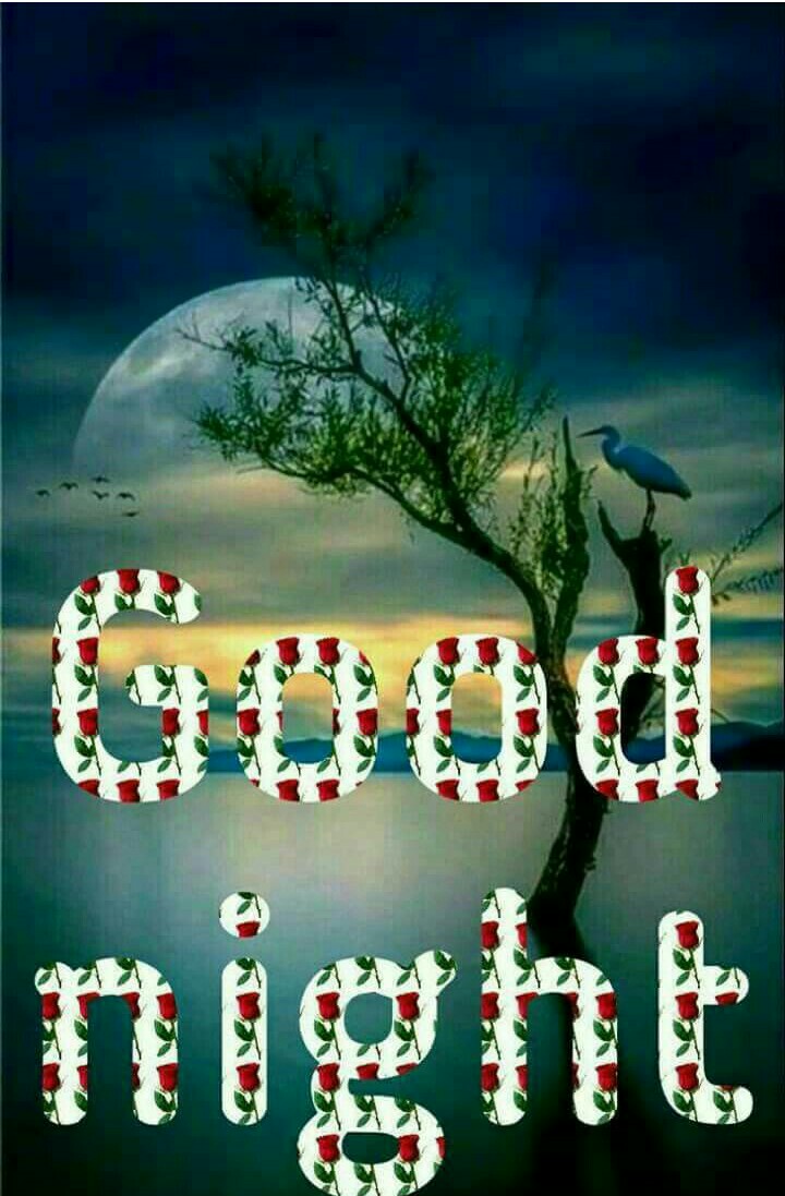 Good Night - Plz Keep Smile - Fun | Masti | Smile