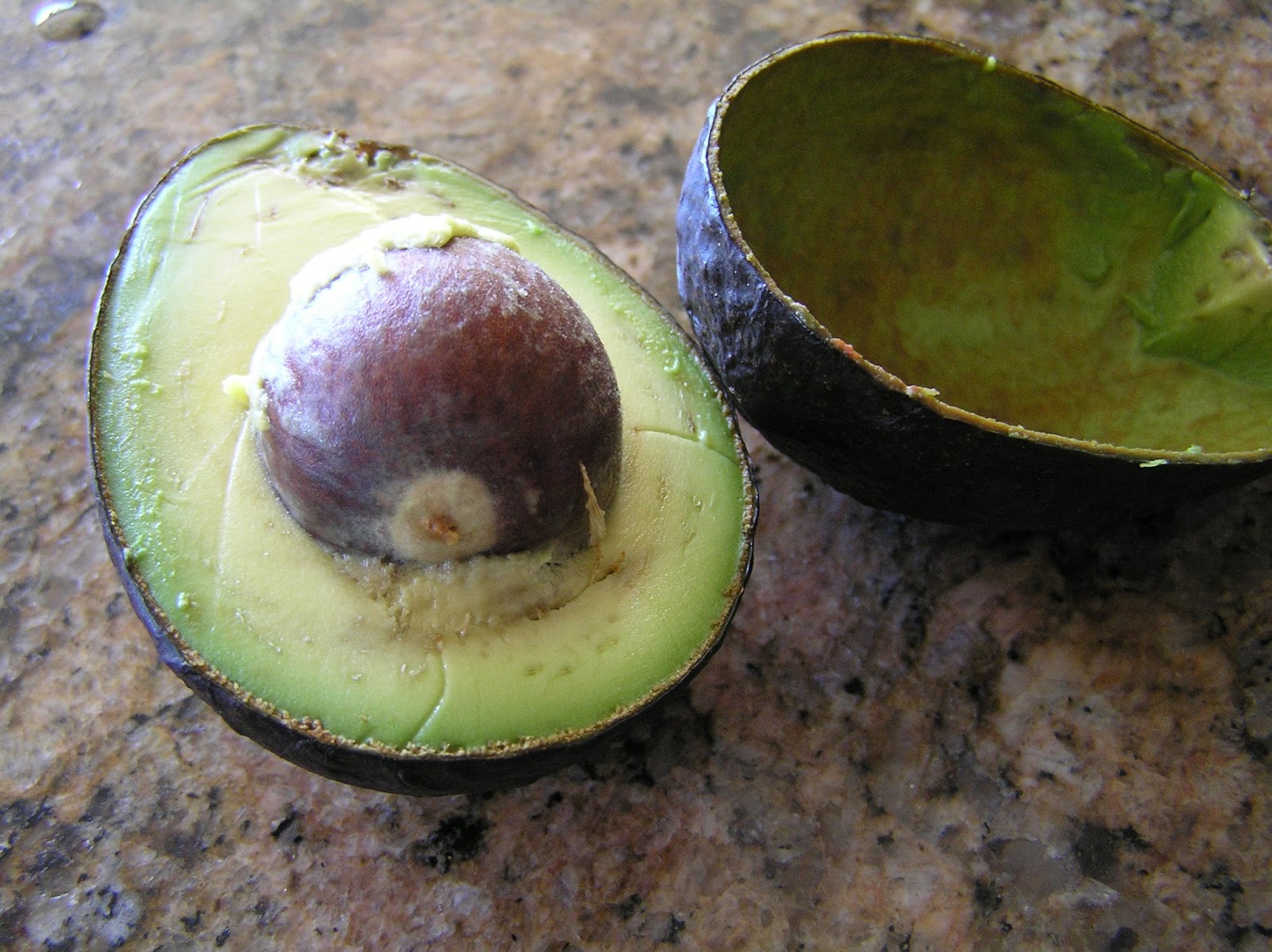 How to Preserve the Other Half of that Avocado - A Life Unprocessed