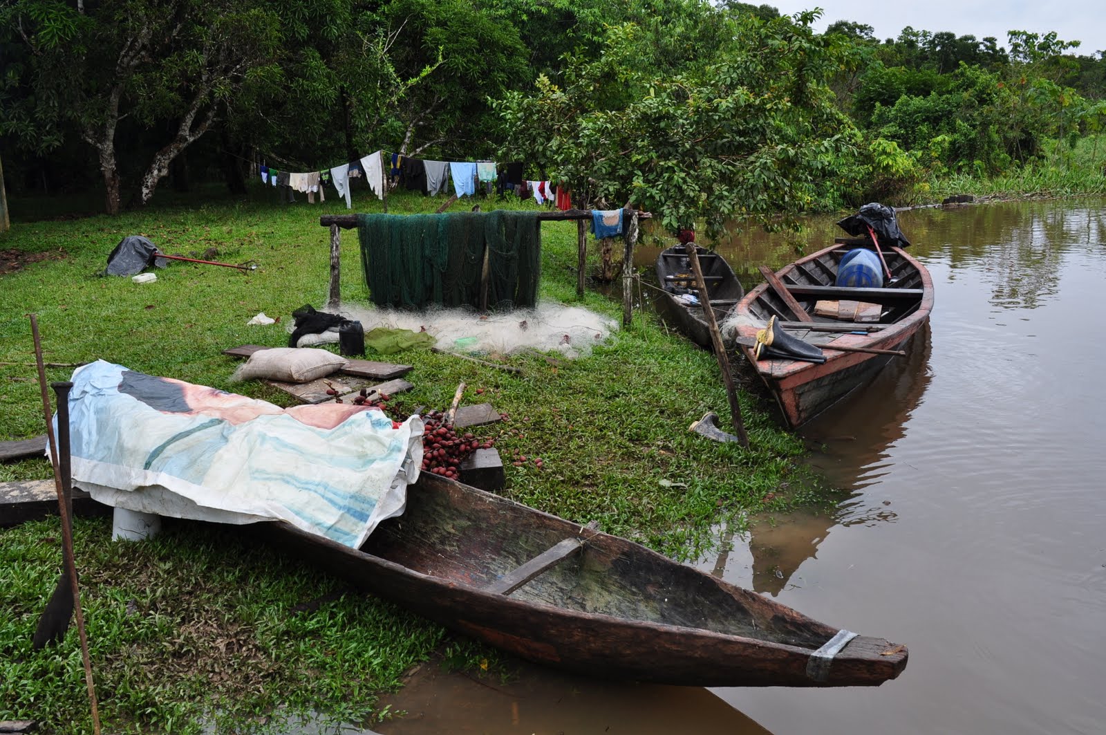 La Selva Esmeralda.: La Selva Esmeralda...en Perú. Río Napo-Curaray ...