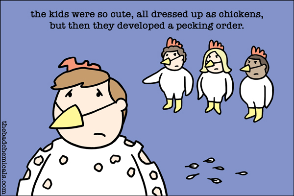 My Daily Jenn-ism: Pecking order.... It's not just for chickens...