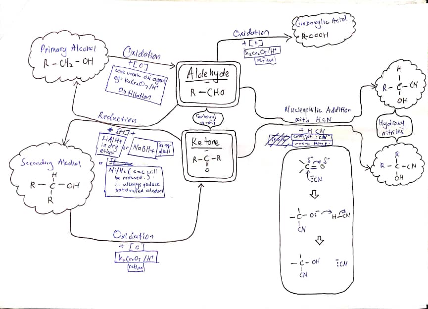 AS Level Organic Chemistry Mind Map