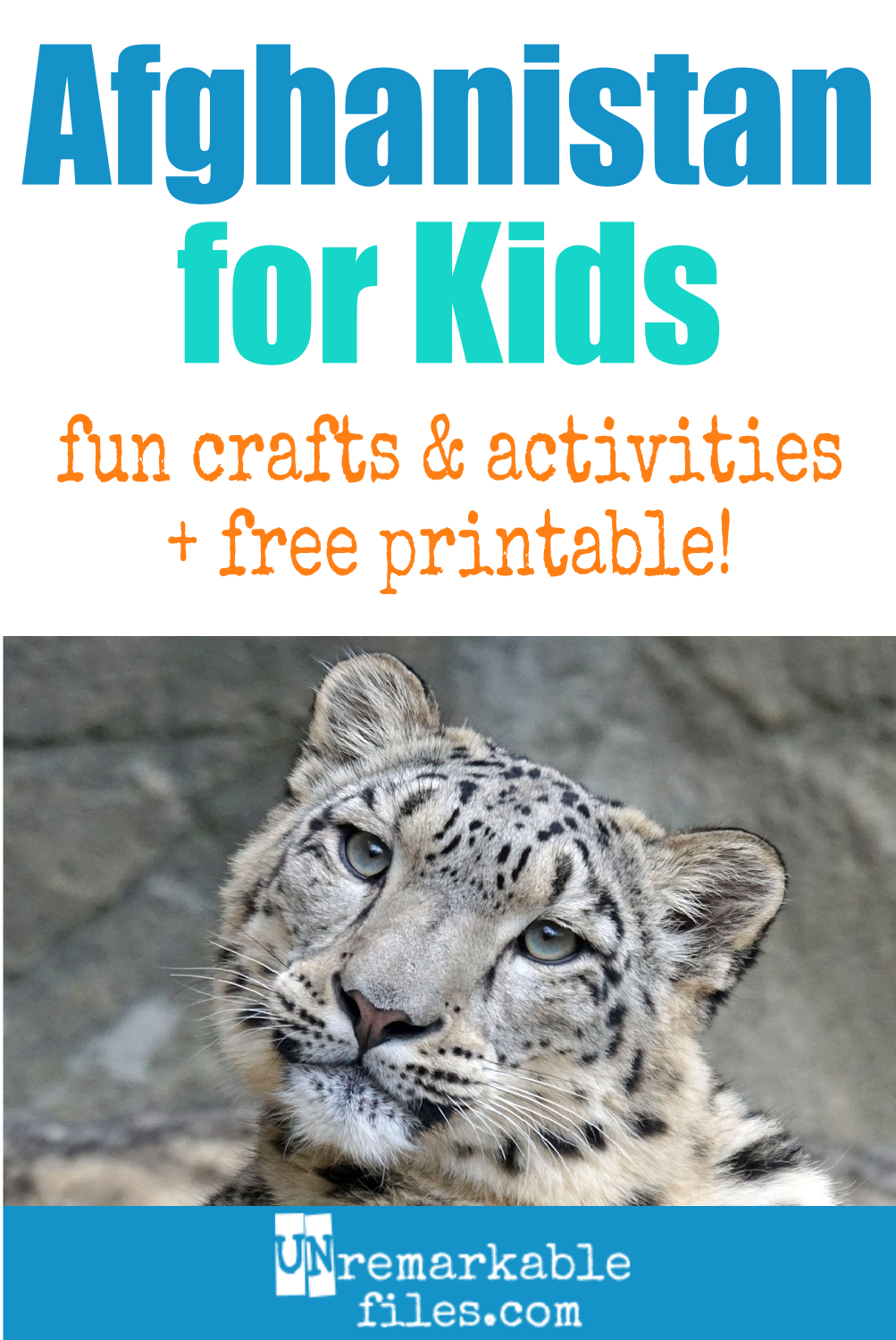 Unremarkable Files: The Educational Summer Vacation: Studying Afghanistan