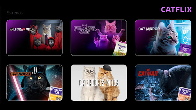 Catflix: el Netflix exclusivo para los gatitos - Mundo Feliz