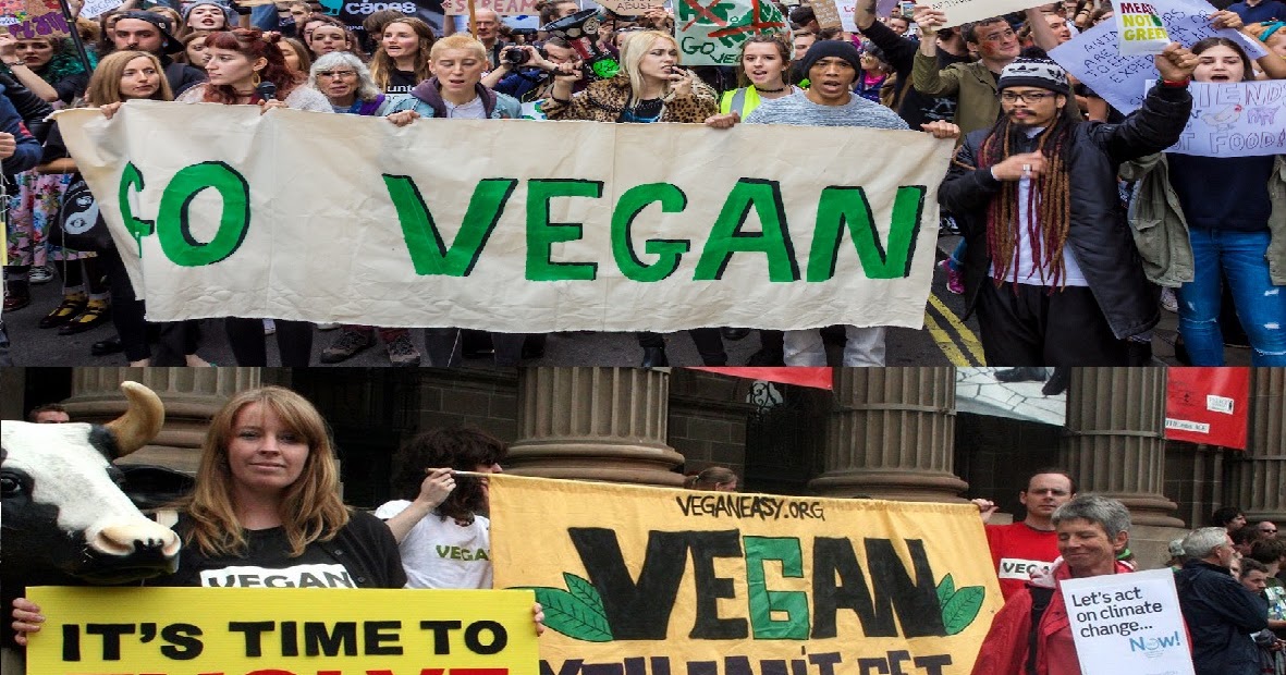 The Fighter Within: The Vegan Movement: Concern or Fashion?