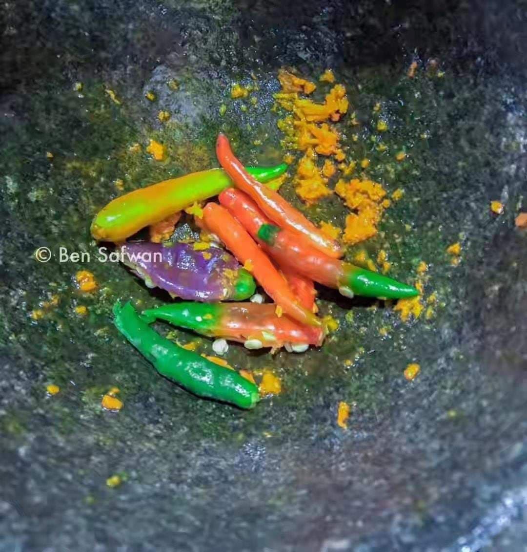 Resepi Ikan Patin Pais Tempoyak