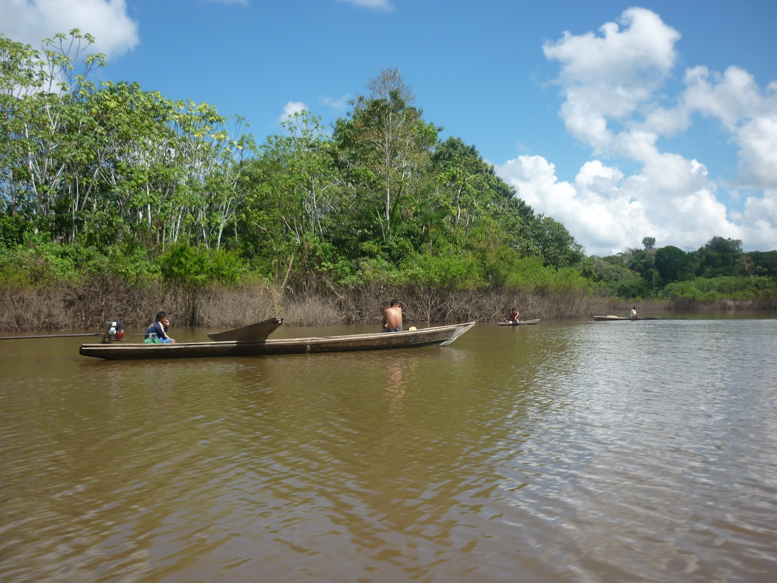 Luis F Castro: Día 7: Ecosistemas acuáticos en Selva Baja y sus ...