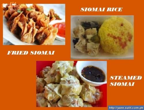 Mommy Yanne's Food Stuffs: PACKED MEALS/ PARTY FOOD TRAYS, SIOMAI ...