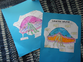 My Full Heart: Five in a Row - Night of the Moonjellies & Homeschool ...