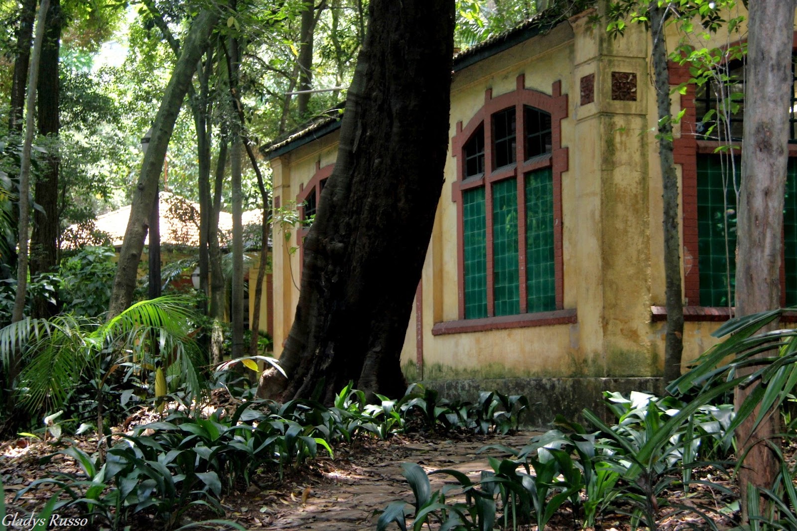 Passear e Fotografar: Parque Trianon