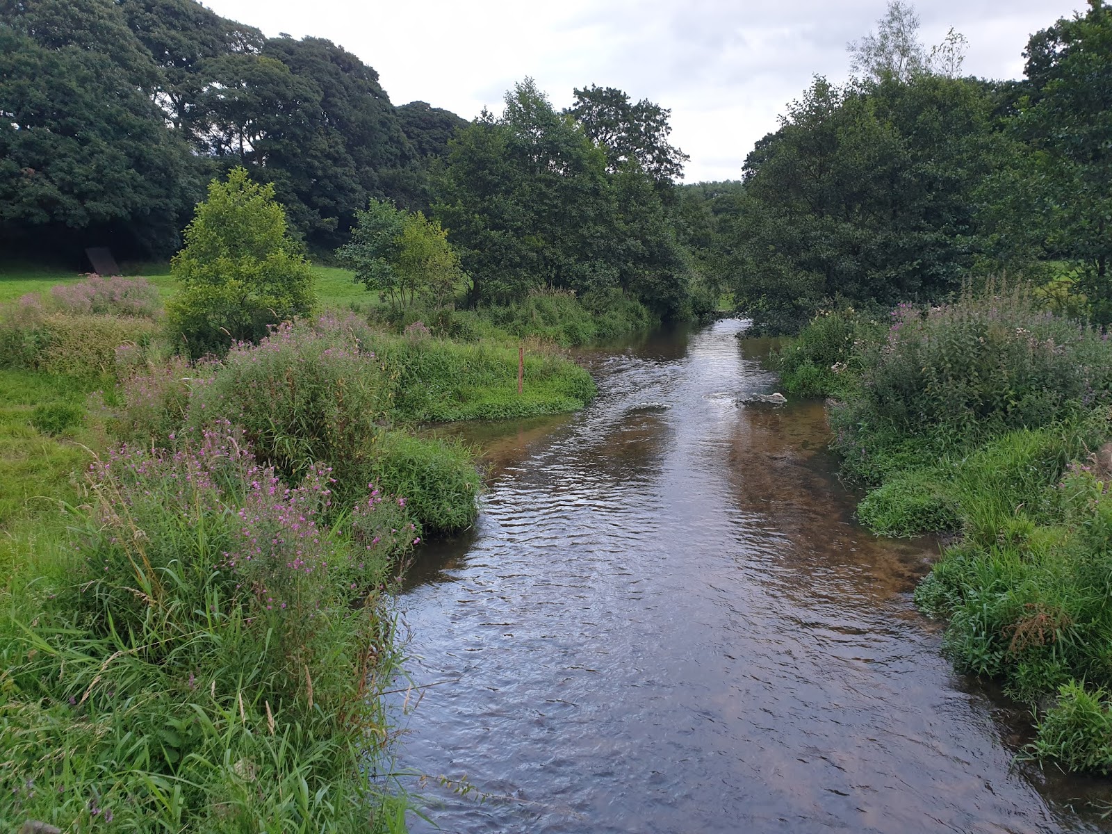 Postcard from Timperley: Thursday 6 August 2020 - The 'Famous Five' in ...
