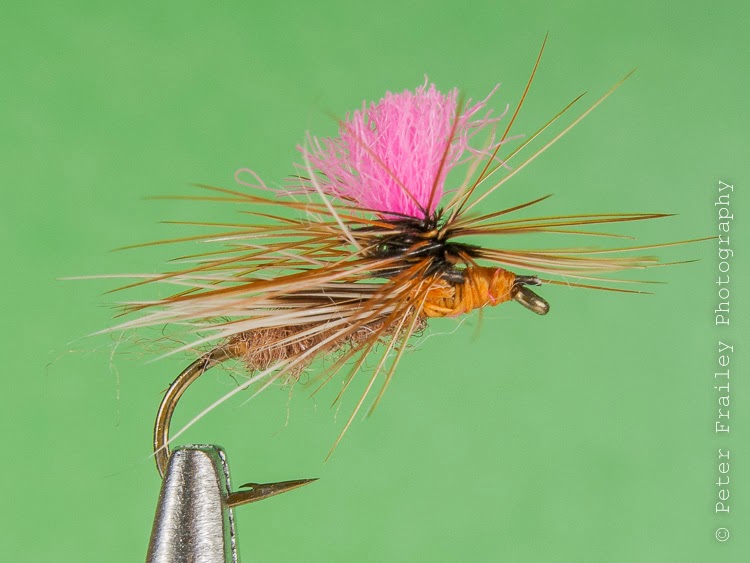 Fishing With Flies :: Blog: Set up for photographing the finished fly ...