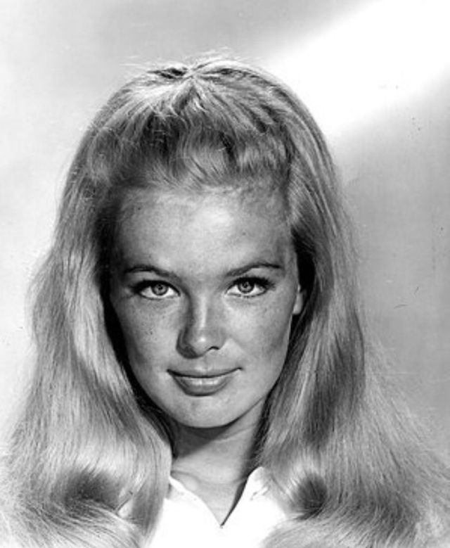 30 Vintage Photos of American Actress Linda Evans in the 1960s ...