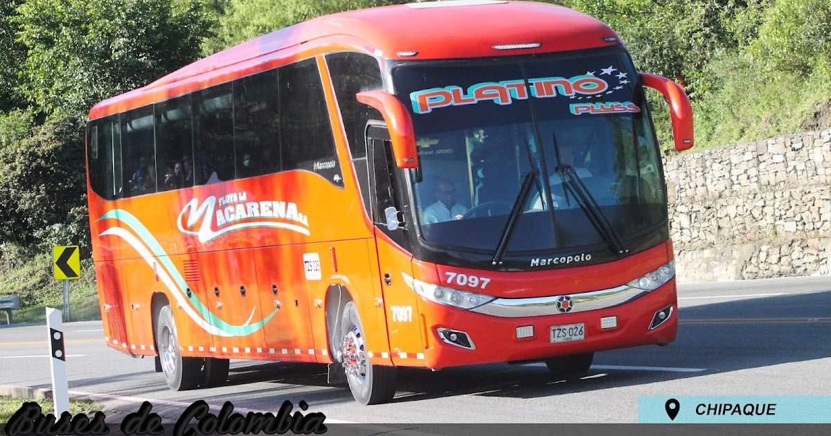 Buses de Colombia - Oficial