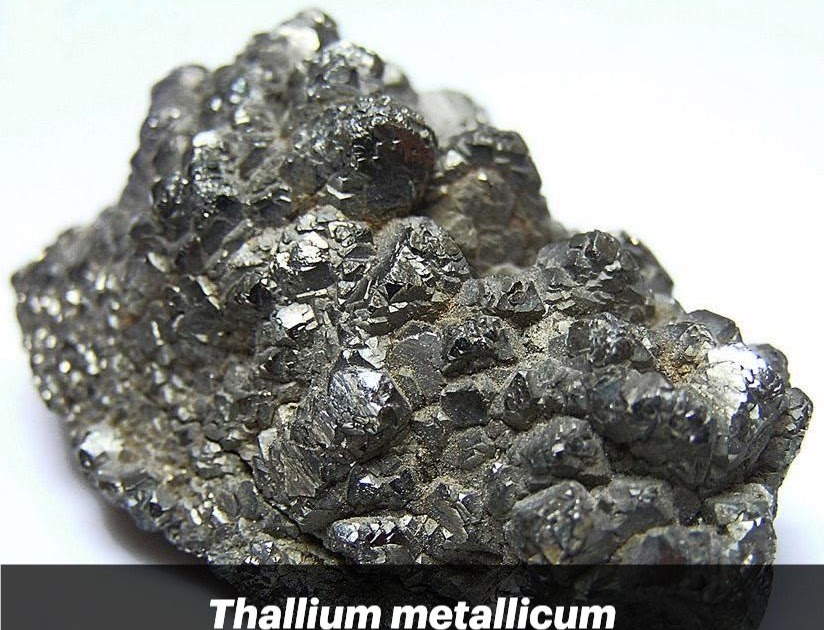 Thallium metallicum (homeopathie)
