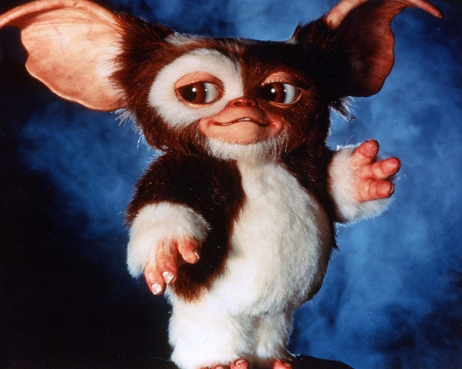 NO HAY VUELTA ATRÁS...: CURIOSIDADES SOBRE LOS GREMLINS...