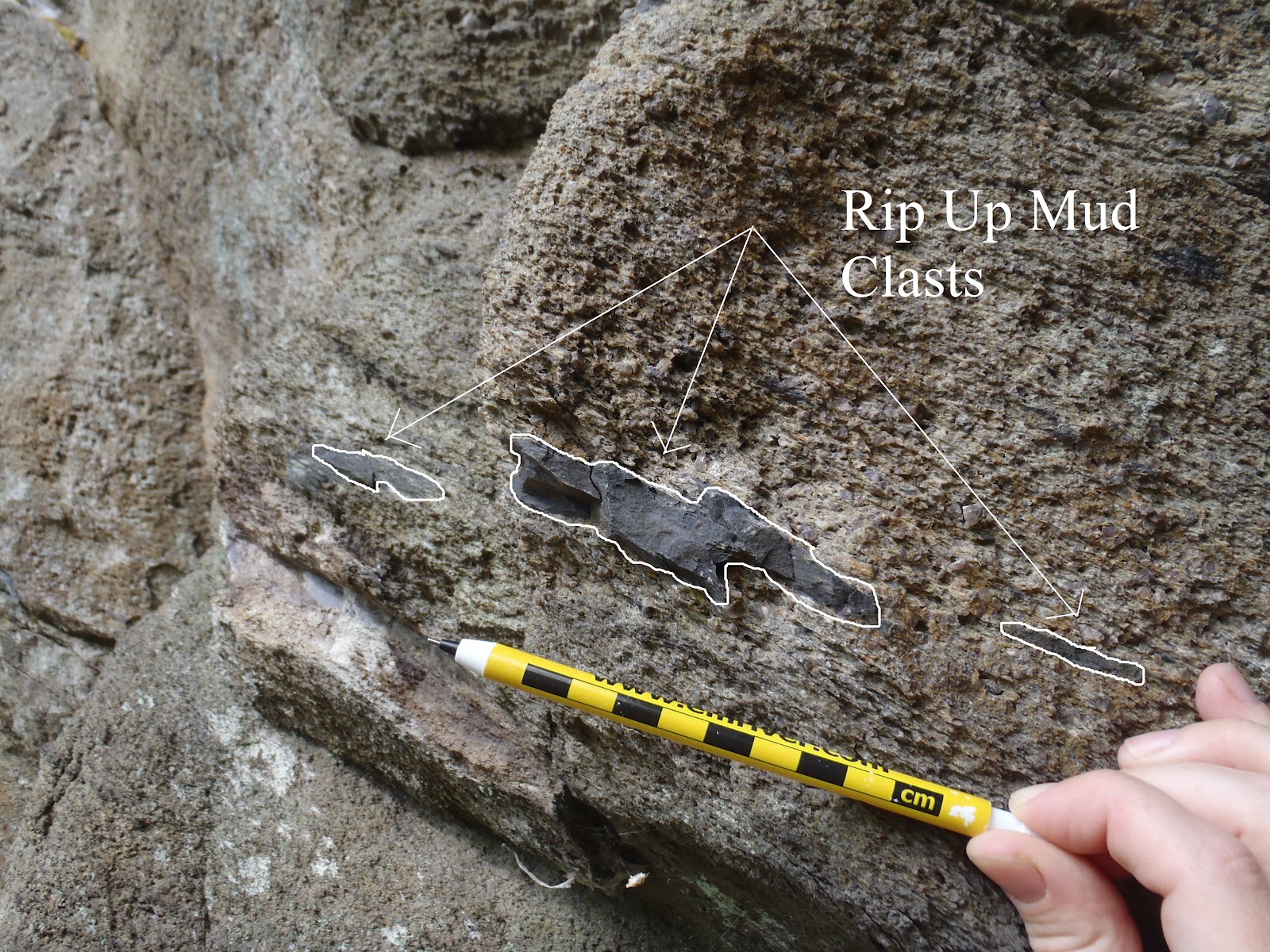 Rock HammerTime: Field Area 2: Swift Run Formation