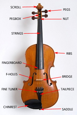 Learn Violin
