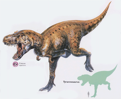 Quando os Dinossauros Dominavam a Terra: Tyrannosaurus rex e seus ...