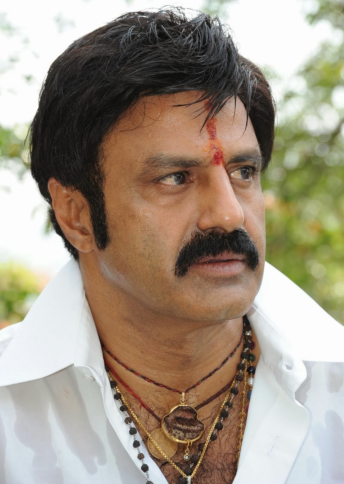 Tollywood Telugu Cinema News And Photos: Balakrishna’s ‘Legend’ to head ...