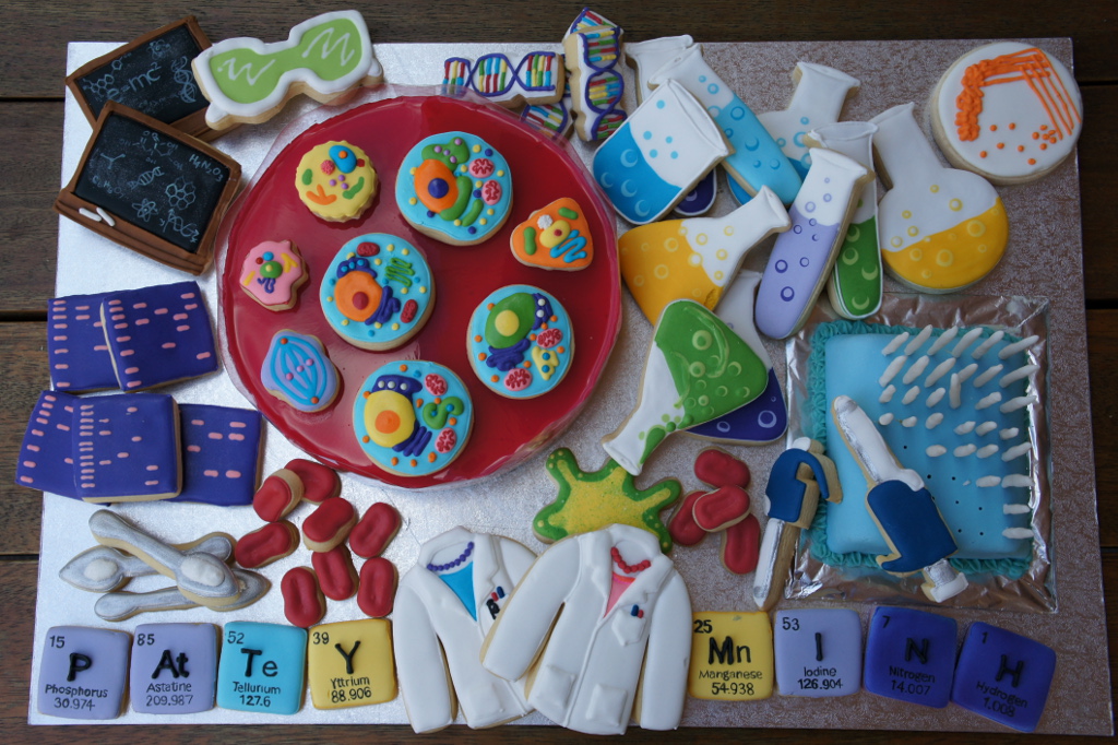 MiNa's Food Adventures