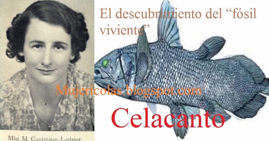 Mujerícolas: Marjorie Courtenay-Latimer y el Celacanto