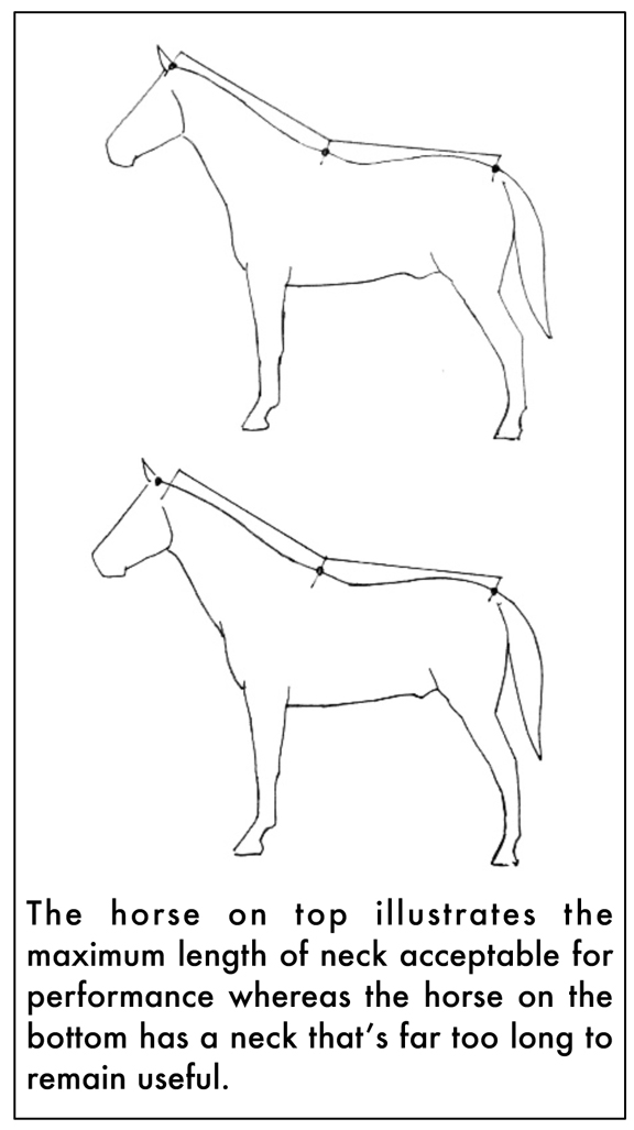 Musings at Minkiewicz Studios LLC: Thirteen Points for Performance: The ...