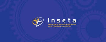 The INSETA Learnerships Programme 2022