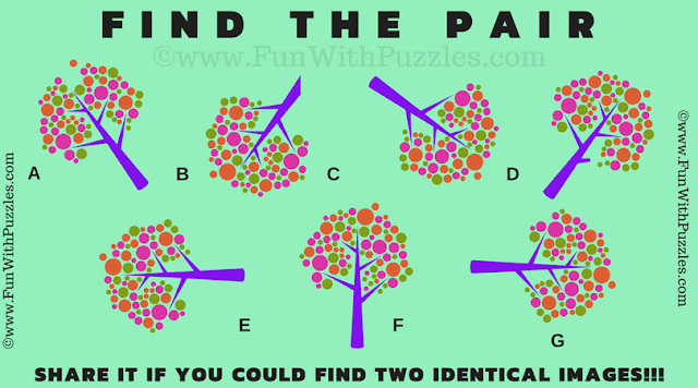 Test your Brain Picture Puzzle with an Answer