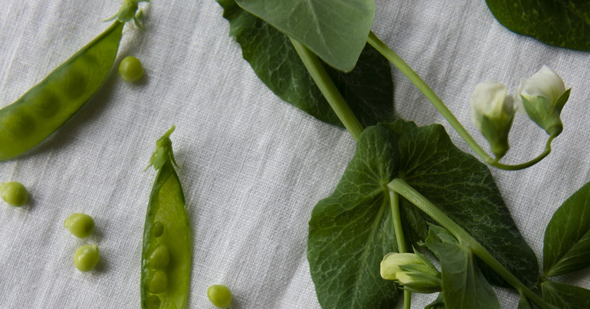 Circus Edgar fotografie: Erwtjes