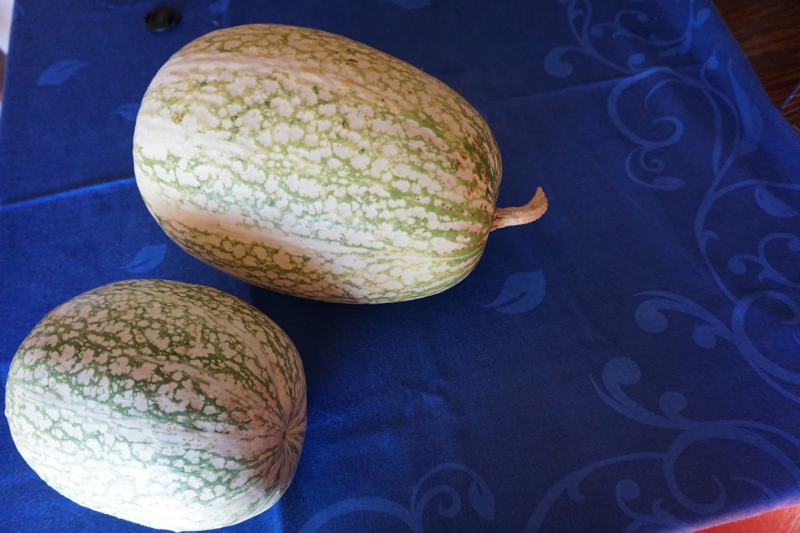 MEMÓRIAS D' AMANHÃ: DOCE DE ABÓBORA CHILA (ou GILA)