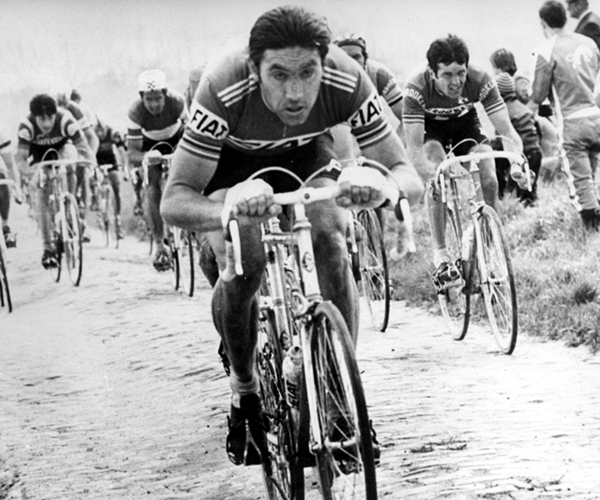 OFF THE RIVET: A Real Sagan vs. Merckx Comparison