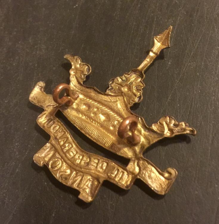 Arnhem Jim: WWI Royal Naval Division Cap Badges - Third Addendum