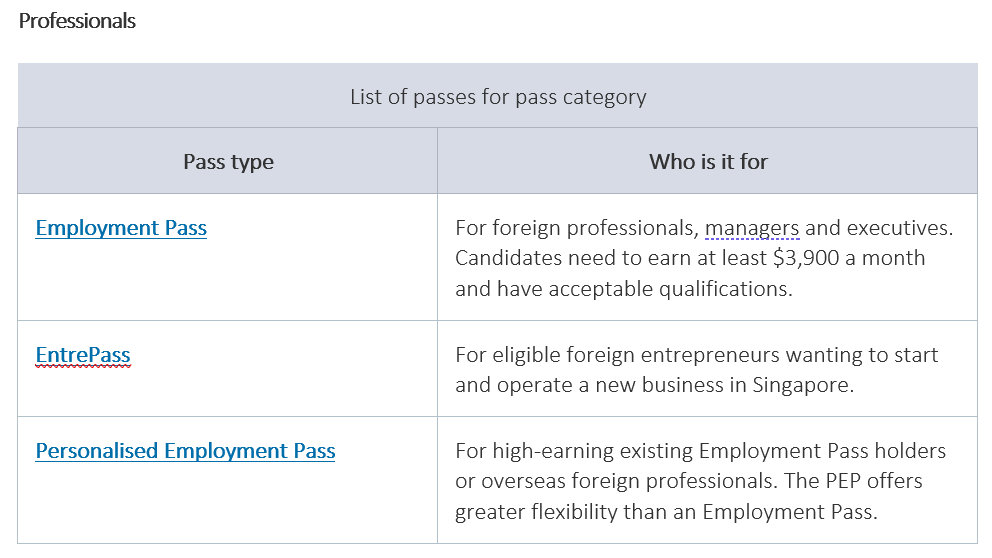 Types of Passes for entry to Singapore : Explained - TheWackyDuo.com ...