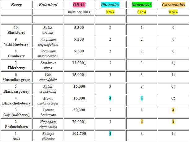The Healthy Lifestyle: berries ORAC rating