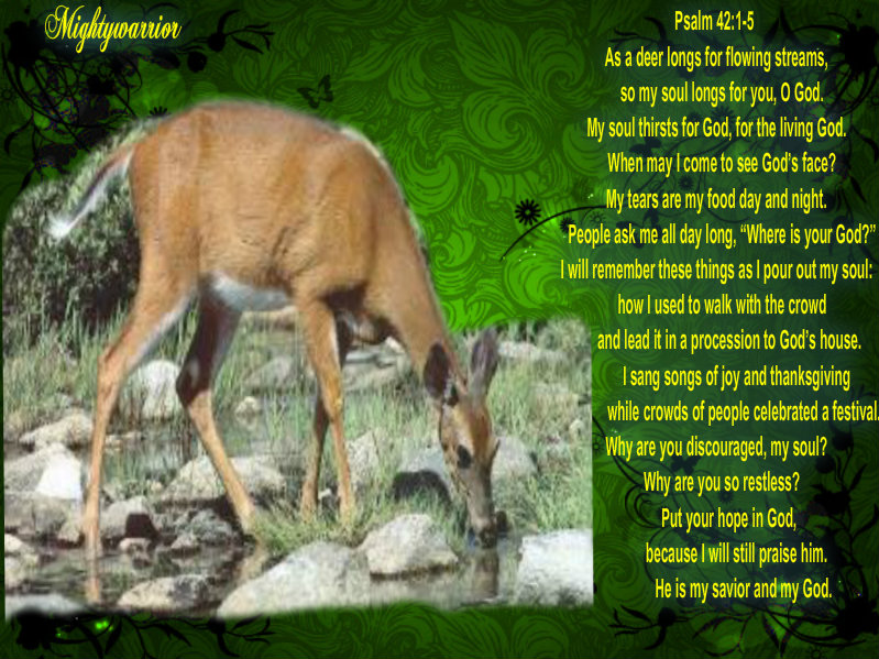 The Infallible Word Of God Psalm 42 1 5 My Soul Thirsts For God The Infallible Word Of God Psalm 42 1 5 My Soul Thirsts For God
