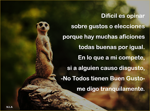 Palabras, Poesías y Versos con Rima: 2020