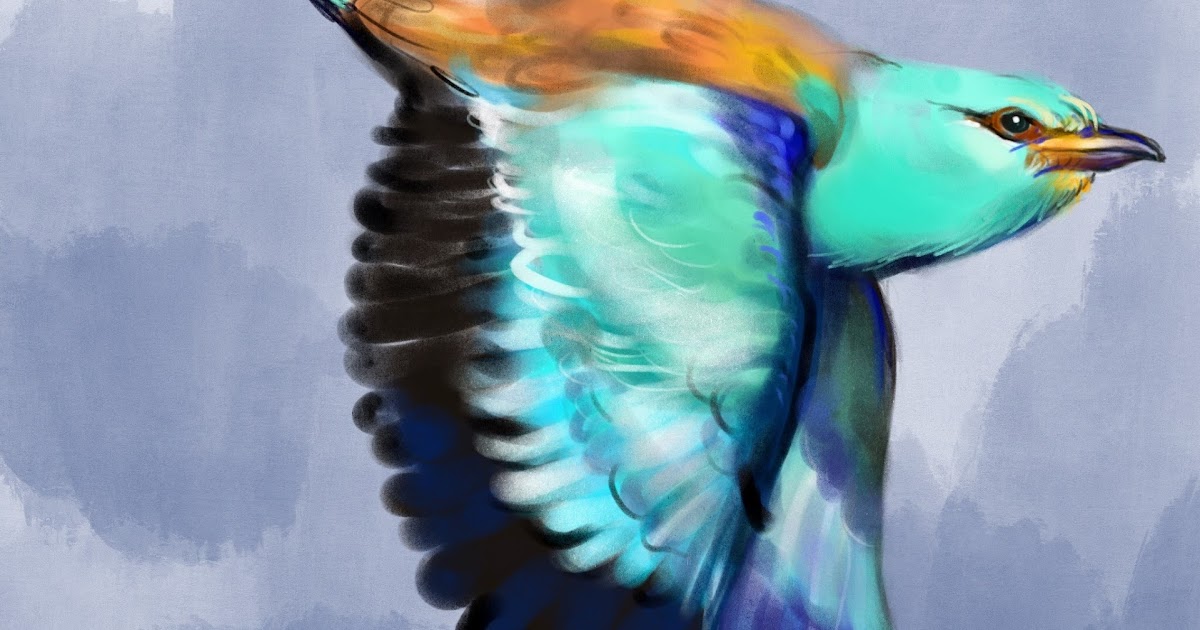 Birds: European Roller