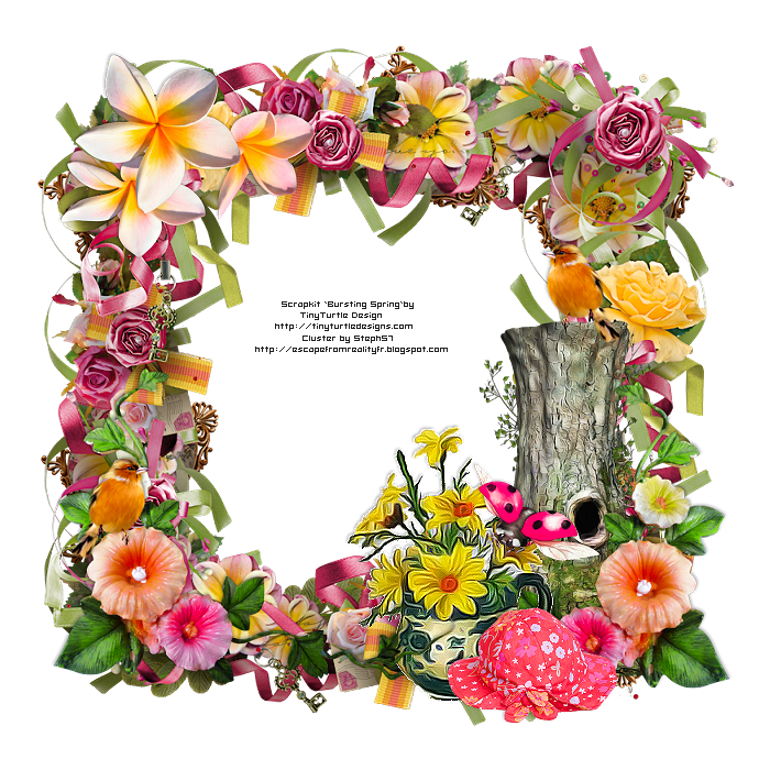 Escape From Reality Blog: FTU 'Bursting Spring' Cluster Frames TTD