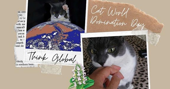 Cat World Domination Day | Stunning Keisha