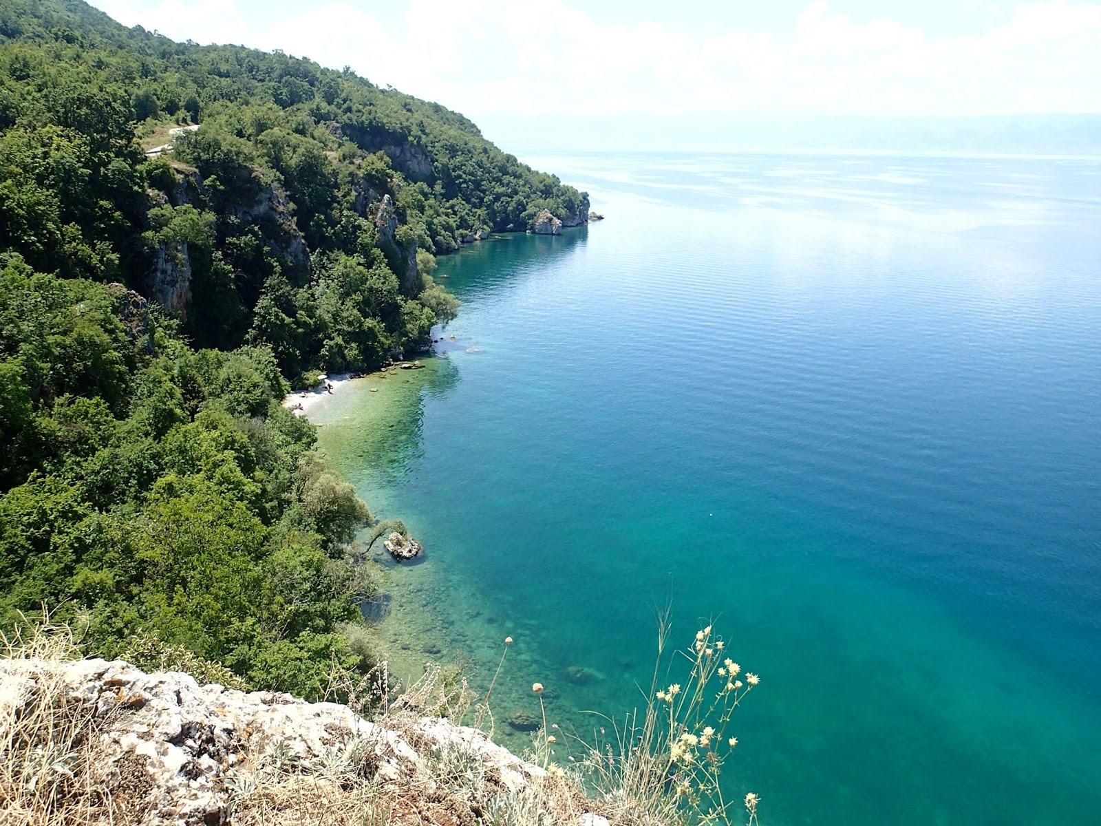 Athens Nature Journal: Lake Ohrid basin fishes