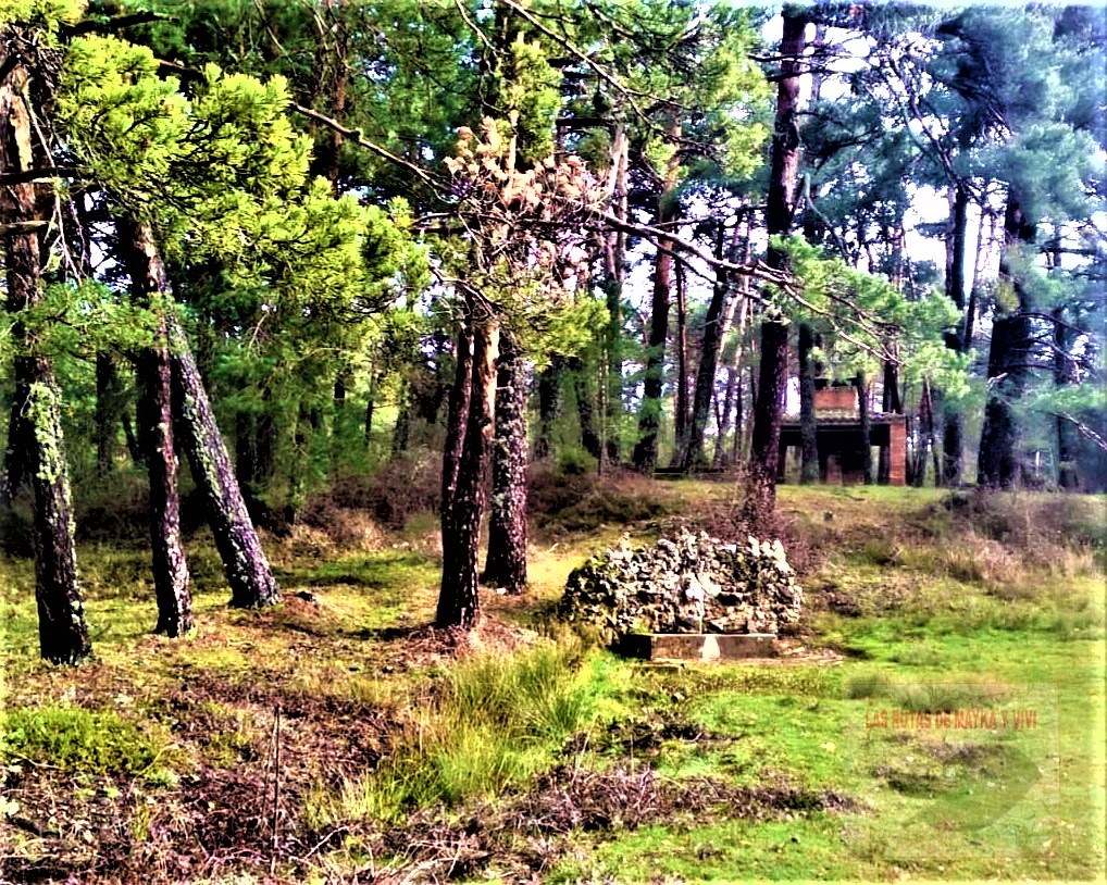 LAS RUTAS DE MAYKA Y VIVI : HUERTA DE REY (BURGOS)