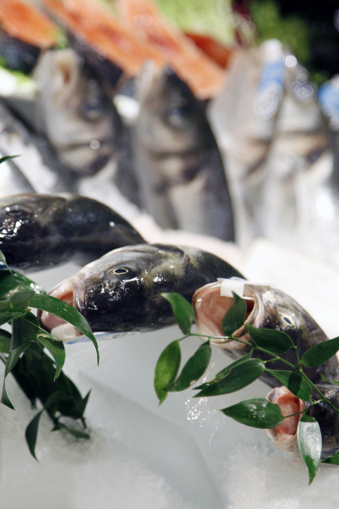 Isabelle Duverger: New York - Paris | Animation | Projection Mapping ...