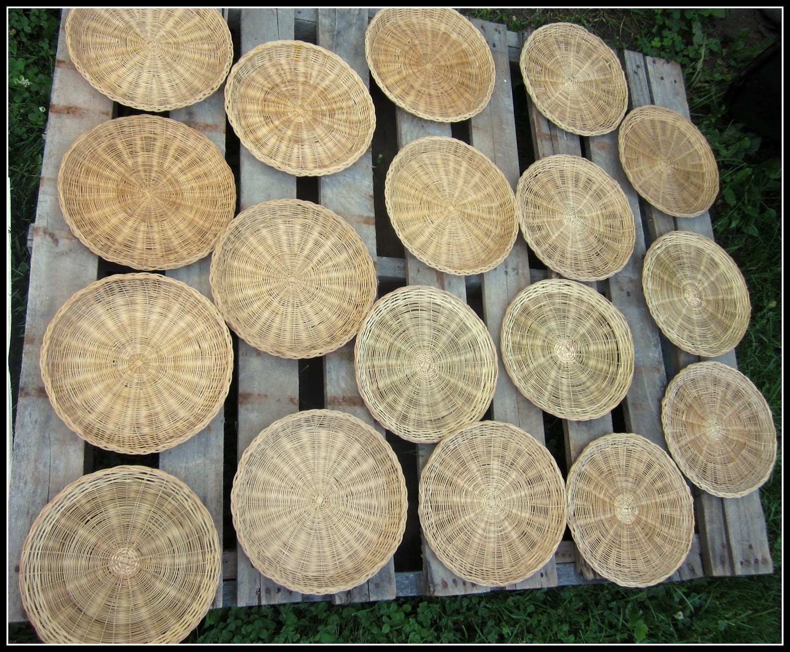 Amazon Pretty Paper Plates at Wade Diaz blog